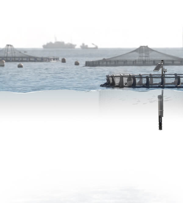 Cage Aquaculture Monitoring Nexsens