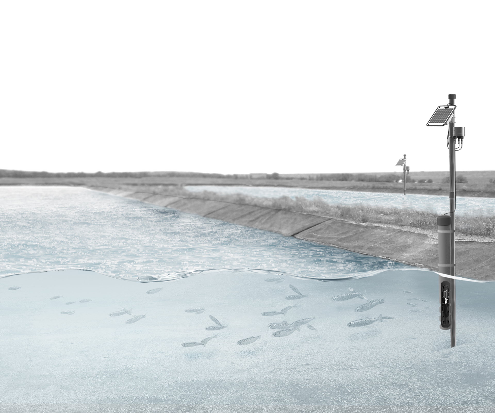 Pond Aquaculture Monitoring - NexSens