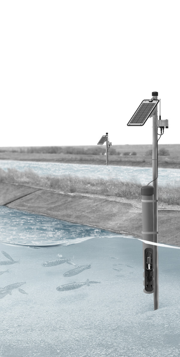 Pond Aquaculture Monitoring - NexSens